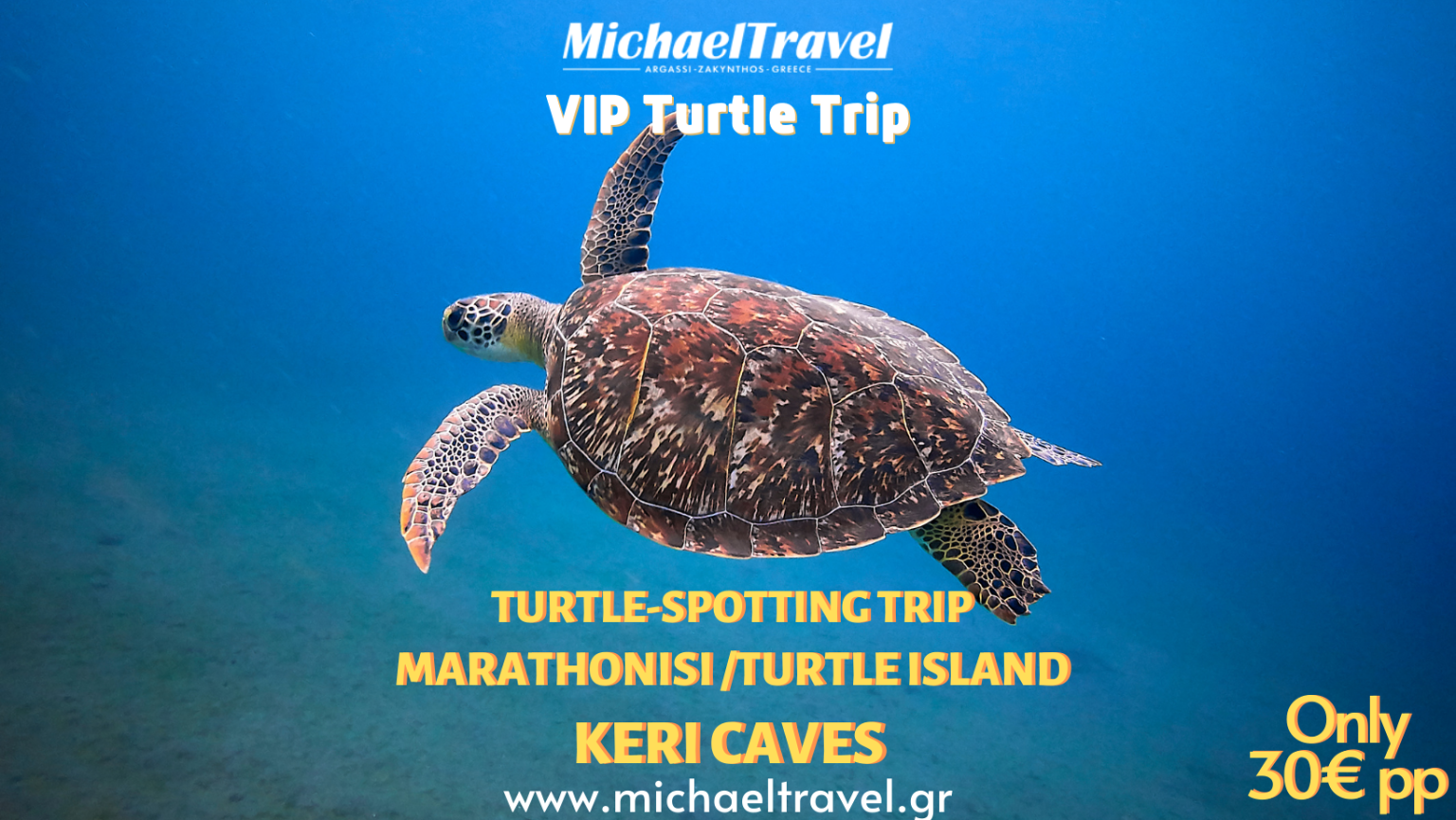 Spot Sea Turtles in Zakynthos-Turtle Spotting – Michael Travel ...